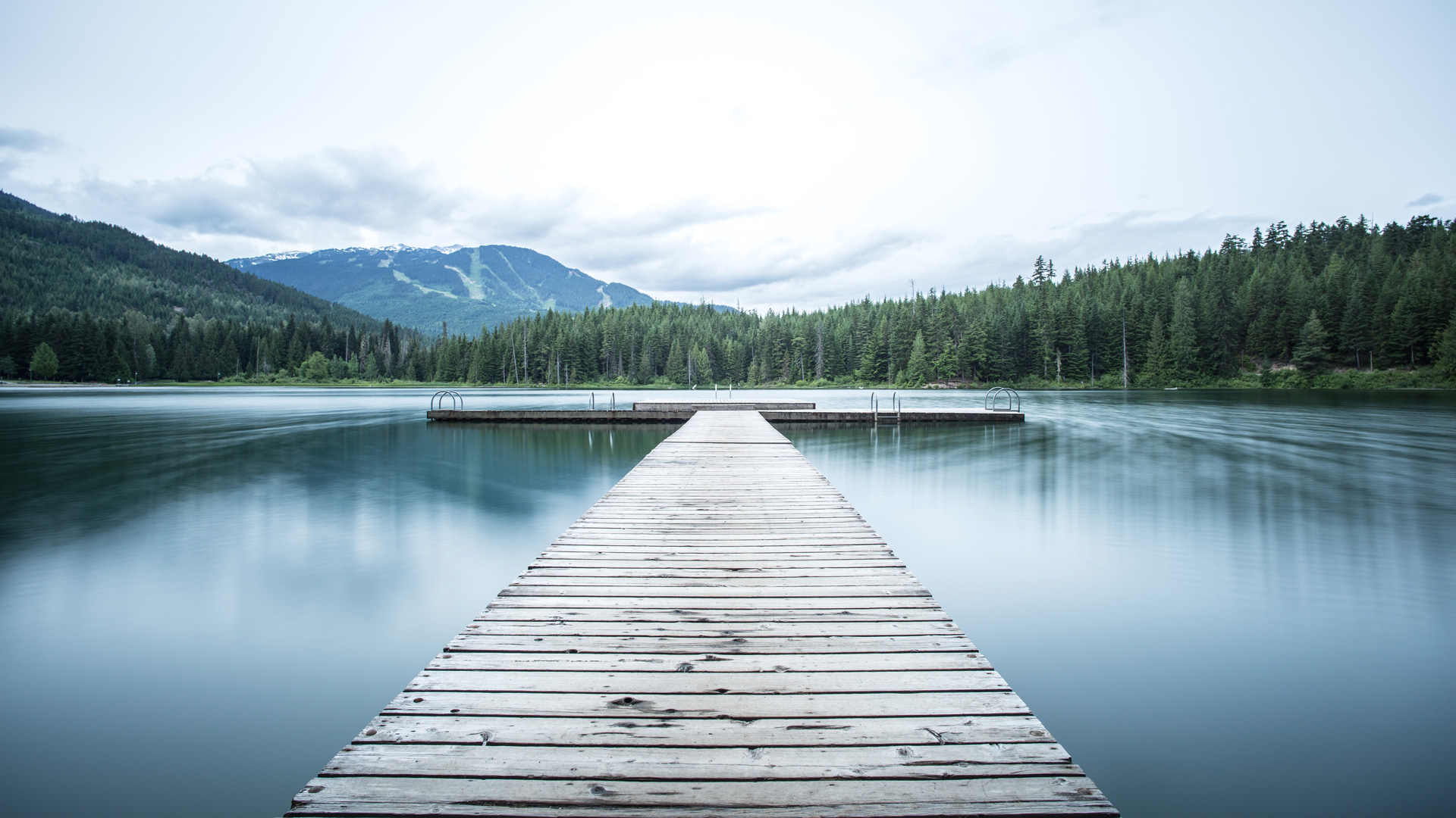 bloo vision - Seeing in 3D - importance of depth perception